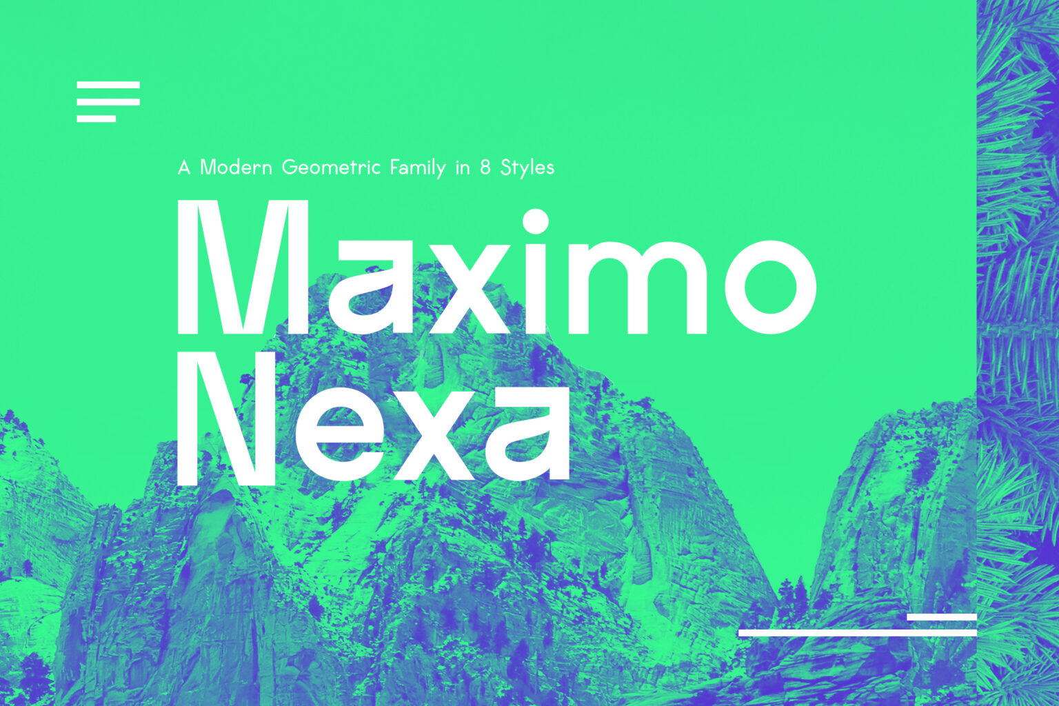 Shop - Kaligra Studio